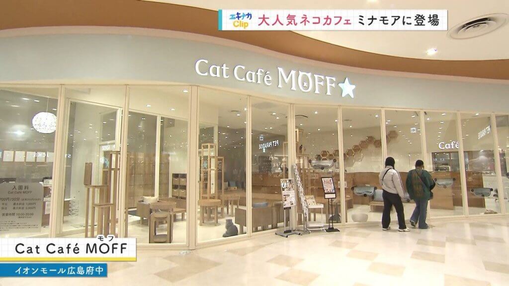 新幹線の待ち時間にネコとふれあえる ミナモアにネコカフェが登場「エキナカClip」| ネコのラテアート付きの本格ドリンクも堪能